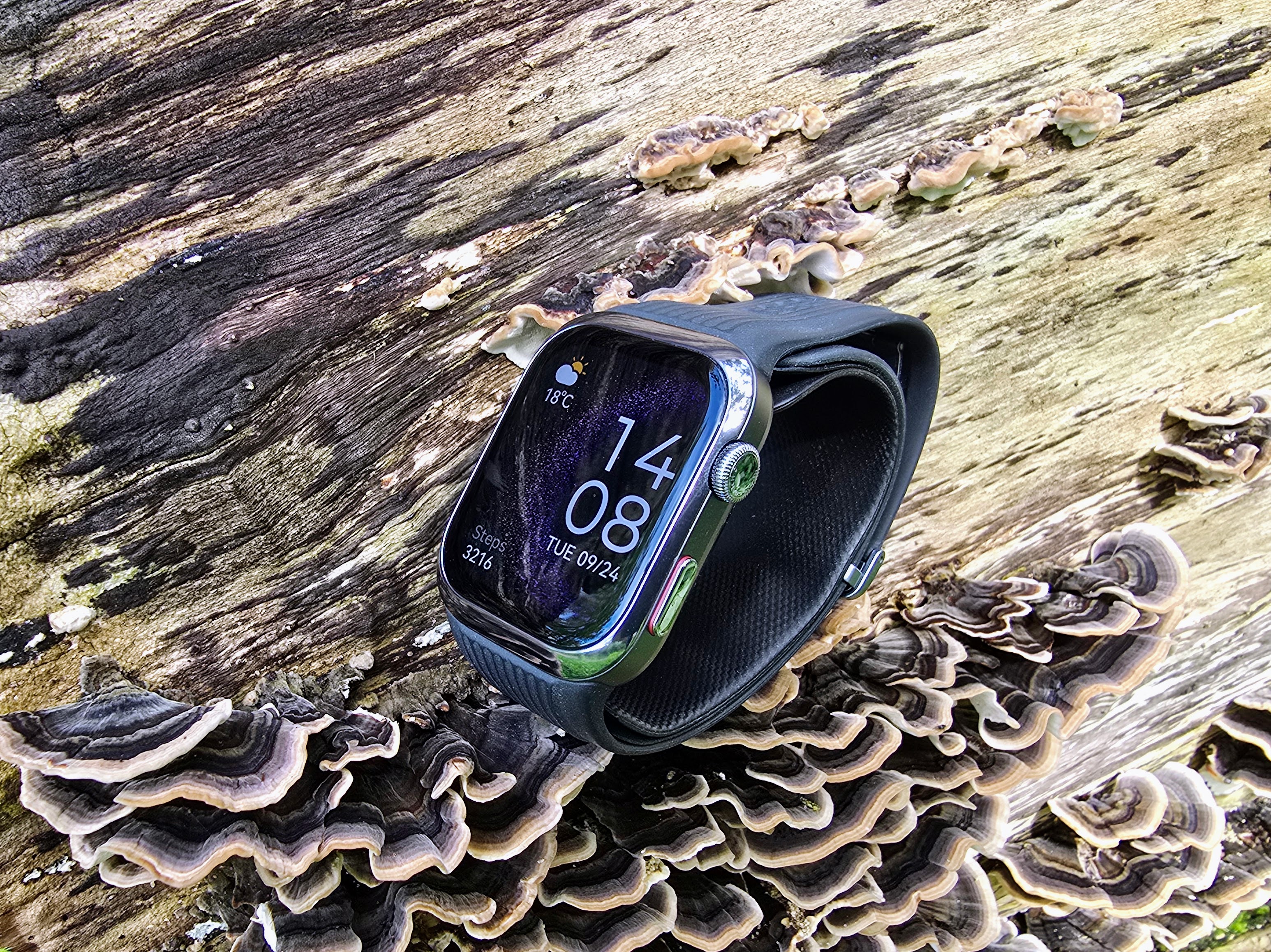 Huawei Watch D2 Smartwatch review - Medición médica de la presión ...