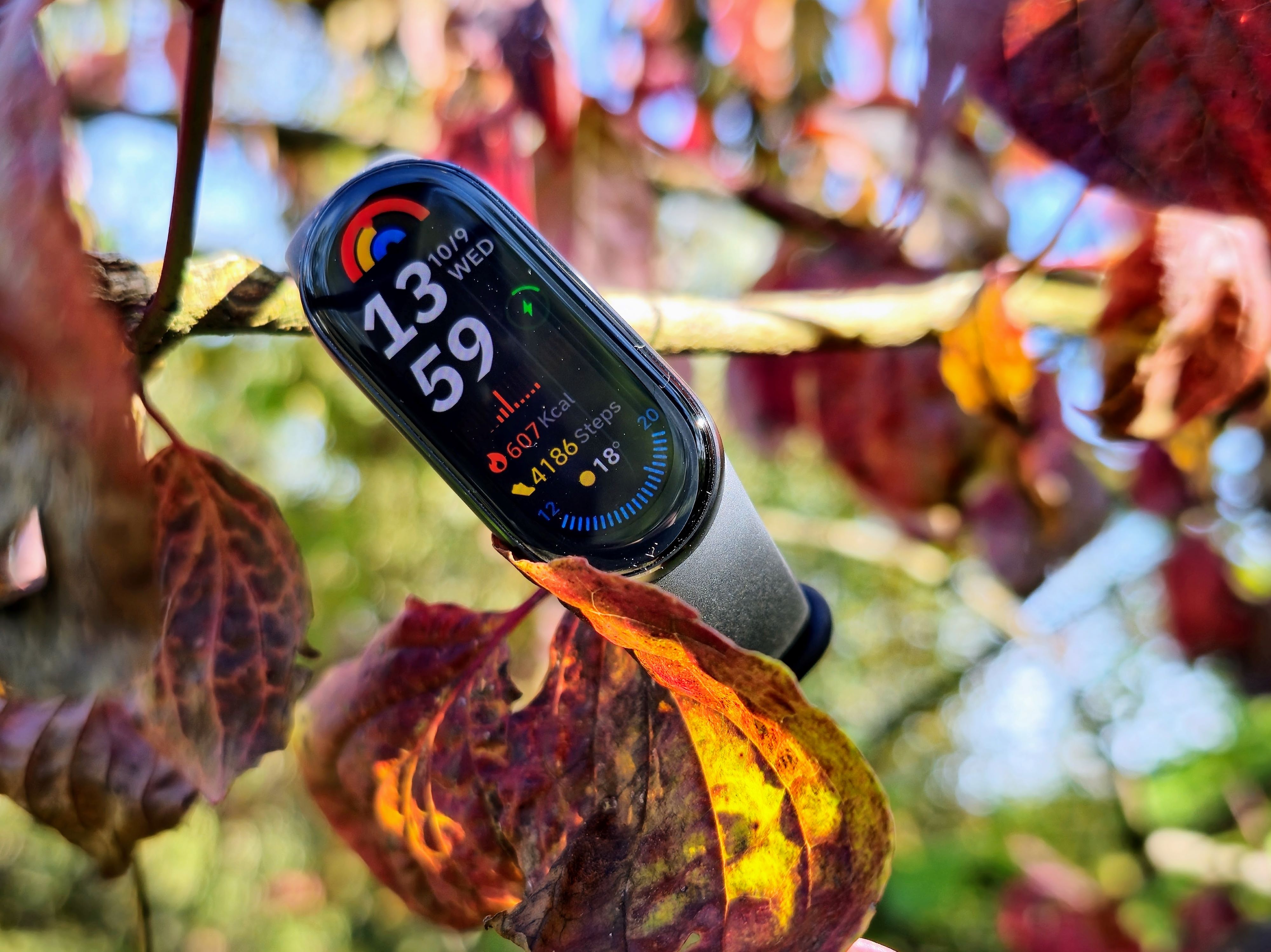 Xiaomi Smart Band 9 fitness tracker review - Un clásico en su novena ...